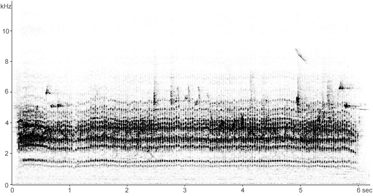 Sedge Warbler Sonogram > Fraser's Birding Website